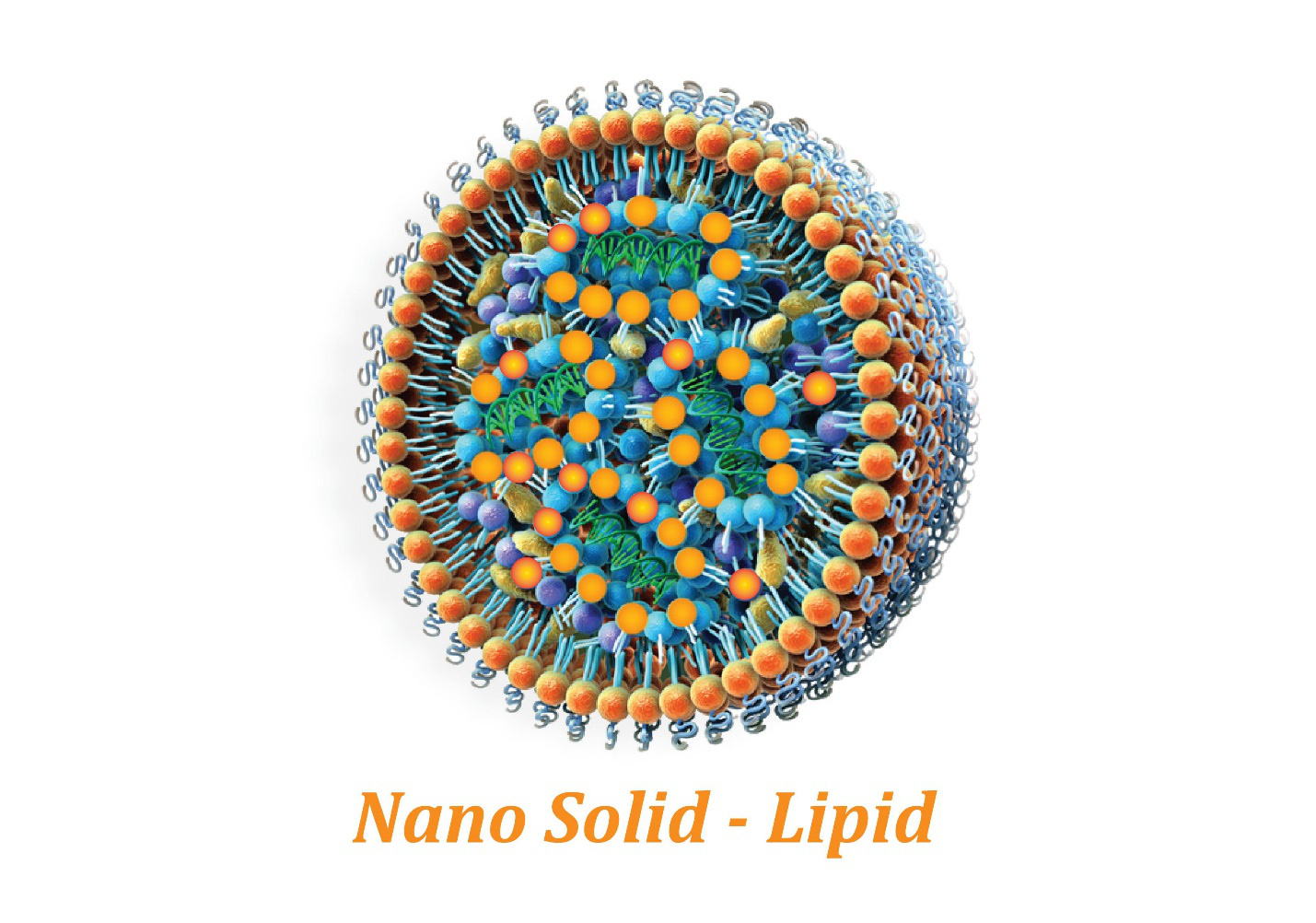 Nano Solid – Lipid – Điểm khác biệt so với các công nghệ nano khác?