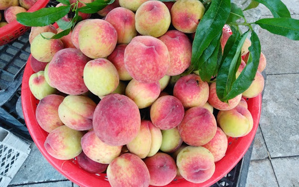 Những tác dụng của quả đào ít người biết đến