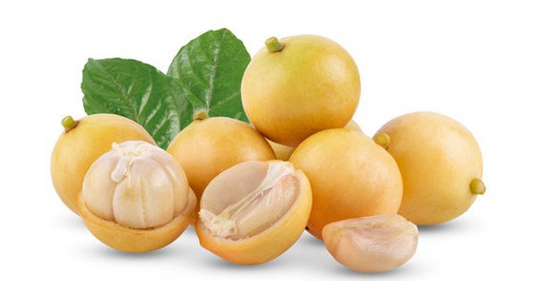 Tác dụng của quả dâu da đất đối với sức khoẻ